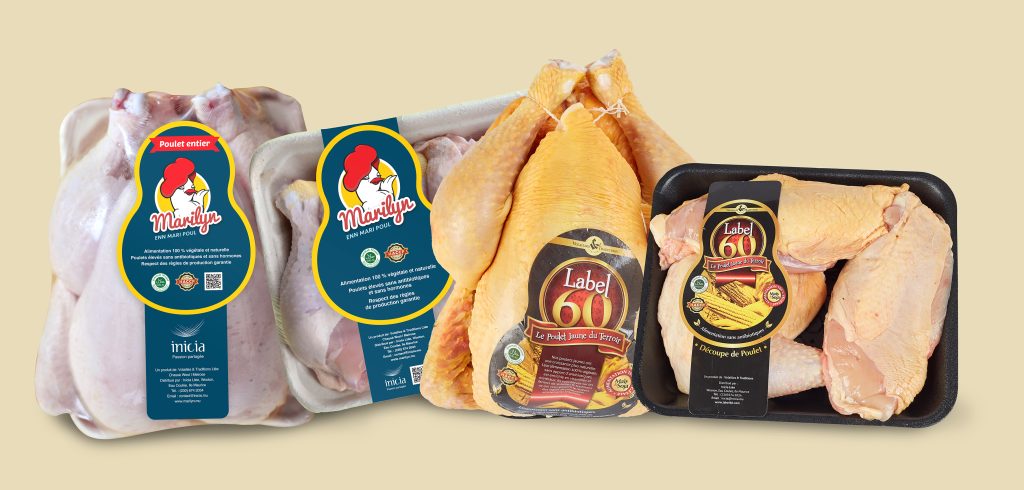 Merchandising – Inicia