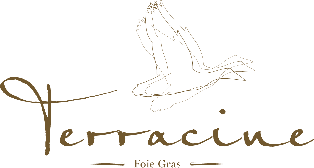 TERRACINE – Inicia
